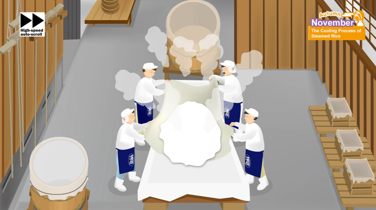 Let's learn sake brewing process with scrolling animation! – Sakura Town